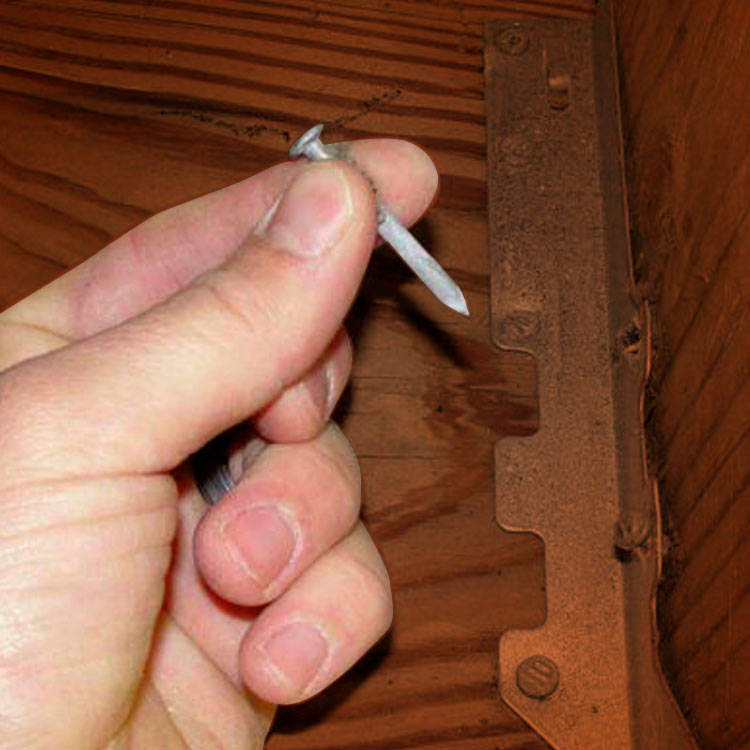 Nails At Fasteners Plus