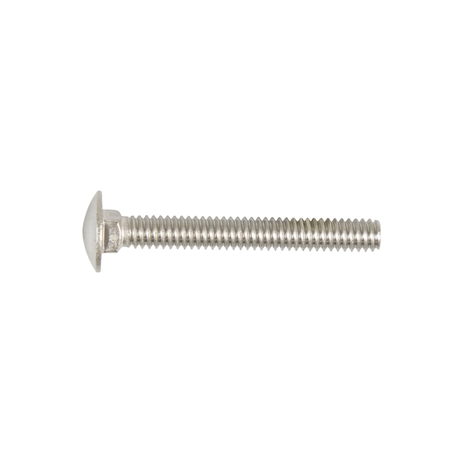 1/4"-20 x 2" Conquest Carriage Bolt - 316 Stainless Steel – Fasteners Plus