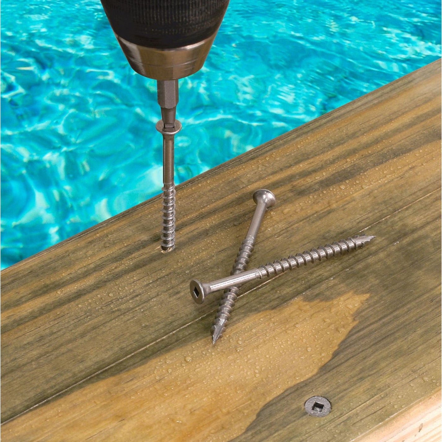 #10 x 2-1/2" Square Drive Bugle-Head Wood Screw - 316 Stainless Steel ...