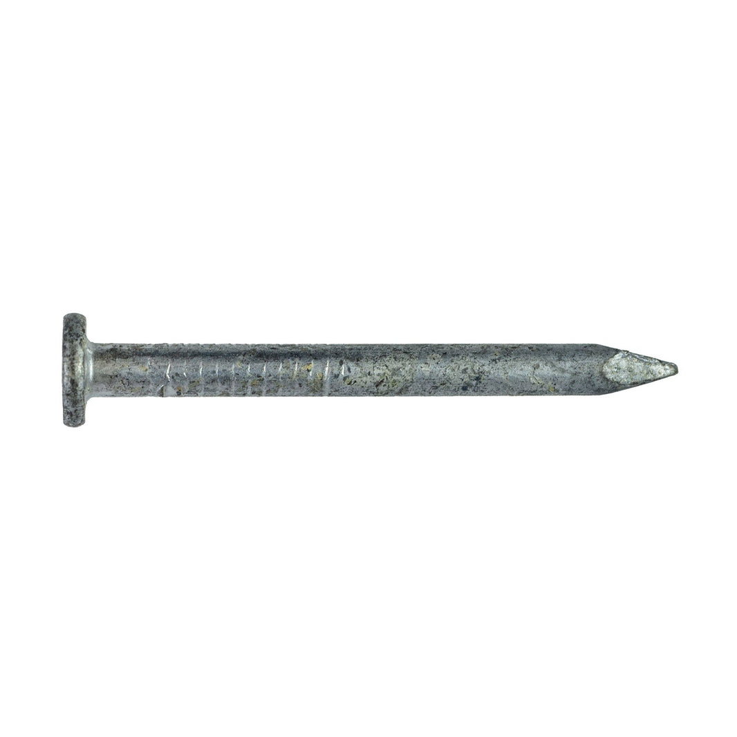 Hot Dip Galvanized Joist Hanger Nails For Strong-Tie Wood Connectors ...