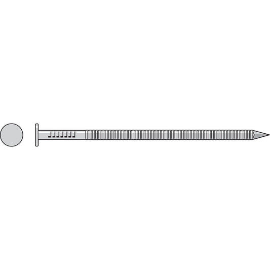 Ring Shank - Common Nails At Fasteners Plus